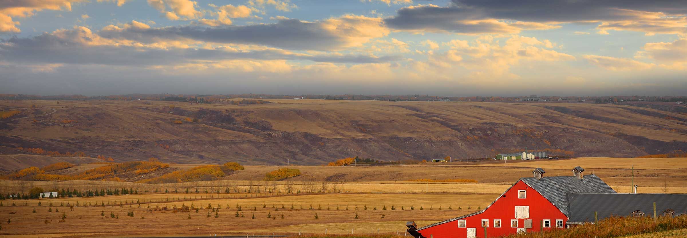Recovery Access Alberta